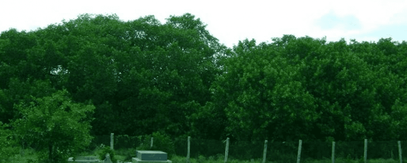 Rayalaseema Wonders | Road Trip Itinerary from Bangalore!