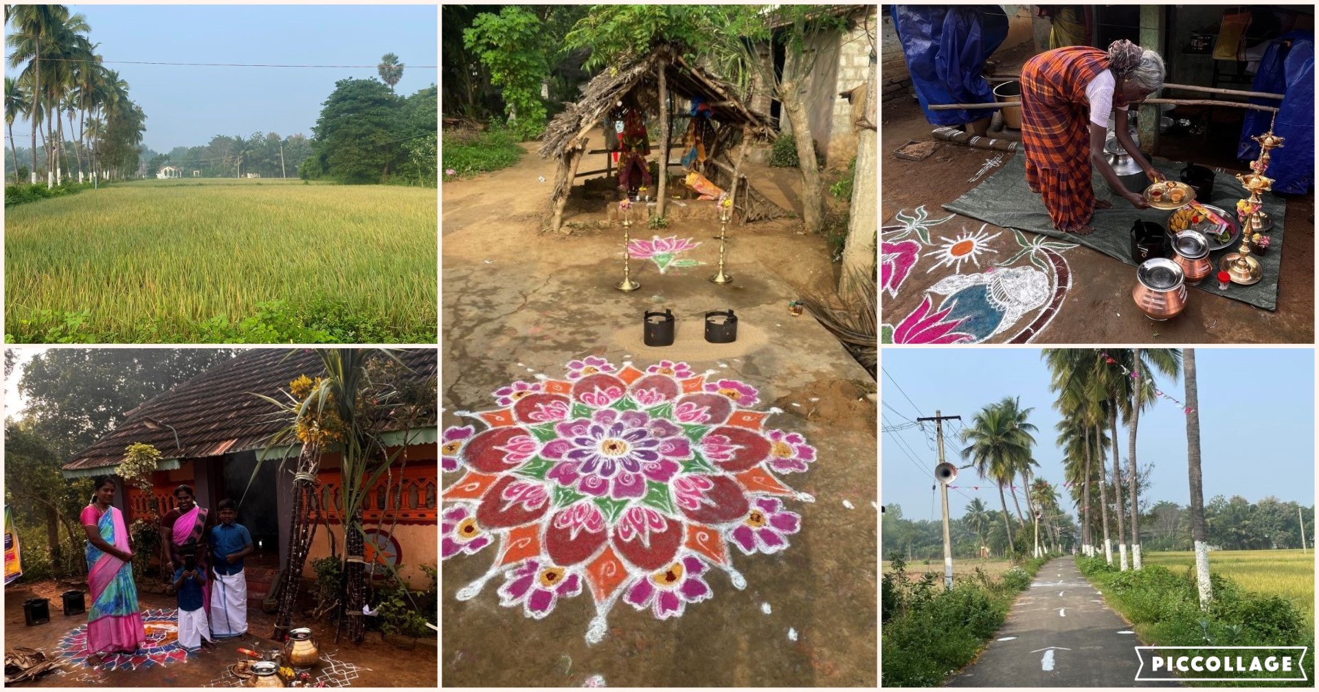 Pongal in Tamil Nadu | Our Pongal Walk Near a Thanjavur Village!